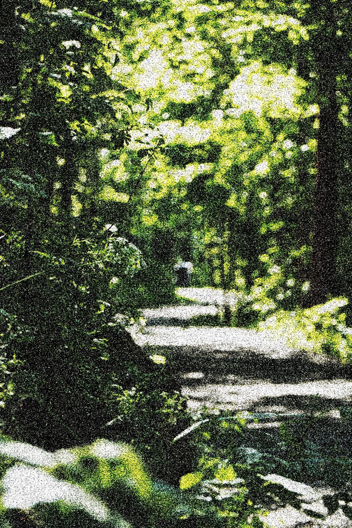 【創立50周年記念事業】禅のつどい 禅喫茶「RYUREI」尾道開催のお知らせ | 全国曹洞宗青年会